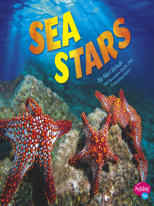Libby - Sea Stars